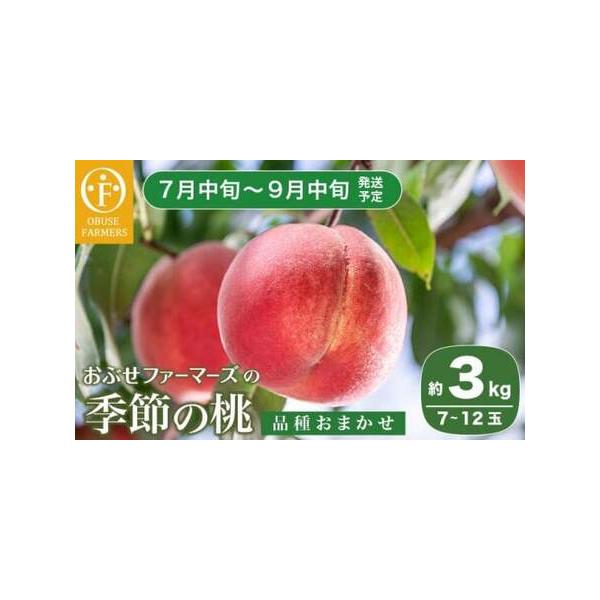 ■ 容量　季節の桃 約3kg 7〜12玉　たまき、なつき、あかつき、川中島白鳳、なつっこ、川中島白桃、黄金桃、だて白桃などの中からいずれかの1品種　※品種の指定はできません■ 配送について　2026年7月中旬〜9月中旬予定　※天候や収穫状況...