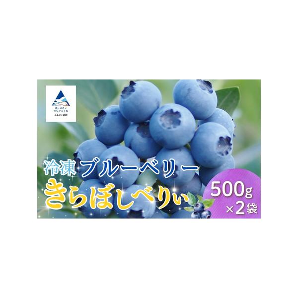 ■ 容量　冷凍ブルーベリー 500g×2袋　■ 配送について　冷凍便　決済から2週間程度で発送　　タイプ：【冷凍】