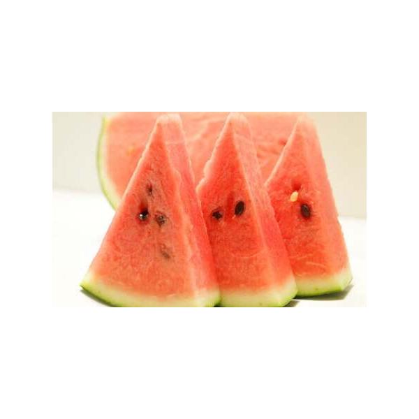 ■ 容量　1玉 （L玉 6〜7キロ）■ 配送について　2026年5月下旬〜2026年6月下旬に発送予定　タイプ：【常温】