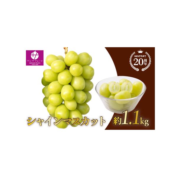 ■ 容量　●シャインマスカット 約1.1kg 1-3房入り 　※本州のみ発送（北海道、四国、九州、沖縄県、離島には配送できません。）　■ 配送について　8月中旬から9月下旬ごろまでに発送　※本州のみ発送（北海道、四国、九州、沖縄県、離島には...