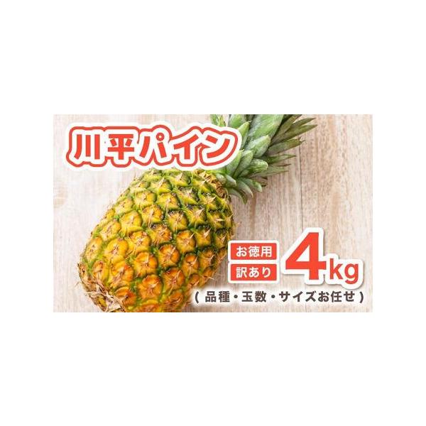 ■ 容量　訳あり4kg (品種・玉数・サイズお任せ)■ 配送について　2026年7月以降順次発送いたします。　タイプ：【冷蔵】