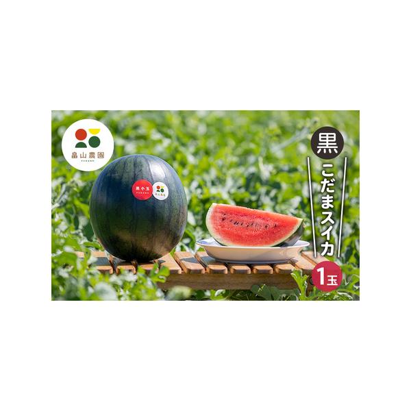 ■ 容量　富良野市産 黒こだまスイカ 2kg以上×1玉　■ 配送について　2026年7月上旬〜7月中旬　　タイプ：【常温】