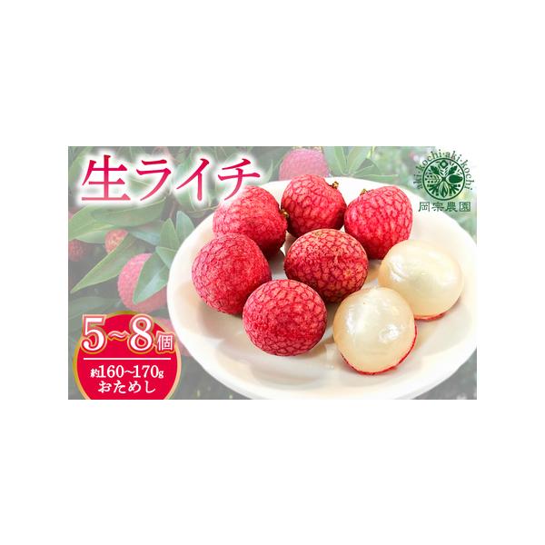 ■ 容量　生ライチ　5個〜8個（約160g〜170g）　※品種、入数はお選びいただけませんのであらかじめご了承ください。■ 配送について　令和8年6月上旬頃より発送予定　※果物の生育状況並びに出荷状況に応じ、順次発送を行っているため、発送に...