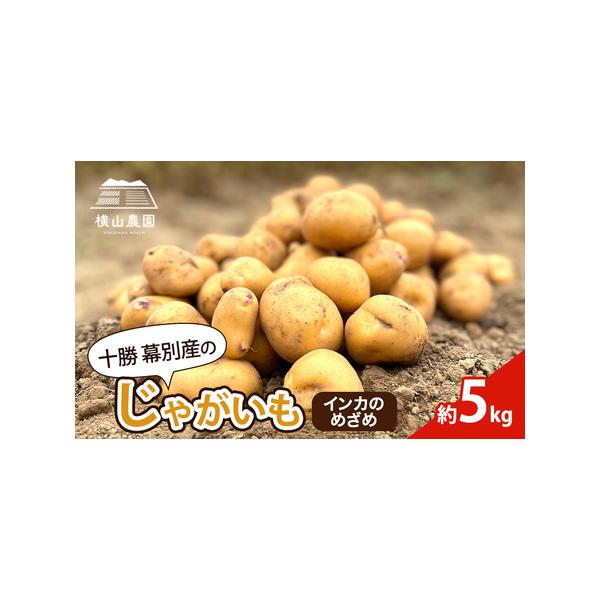 ■ 容量　じゃがいも インカのめざめ（サイズ混合） 約5kg　■ 配送について　2026年10月上旬〜2026年11月下旬まで　　タイプ：【冷蔵】