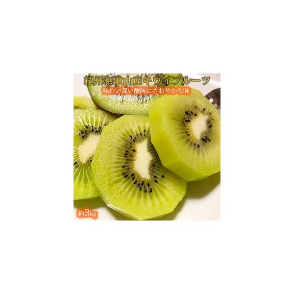 ■ 容量　キウイフルーツ[約3kg]■ 配送について　2026年1月下旬〜2月中旬頃に順次発送予定　タイプ：【常温】