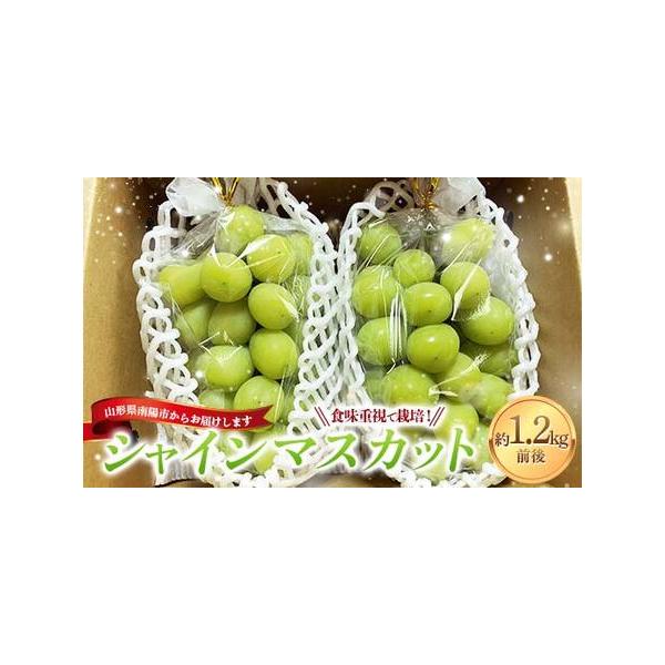 ■ 容量　シャインマスカット　容量：2房入り（約1.2kg前後）　■ 配送について　令和8年9月下旬から10月下旬にかけて順次発送予定　※生育状況により発送時期が前後する場合がございます。　※冷蔵便で発送します。　　タイプ：【冷蔵】
