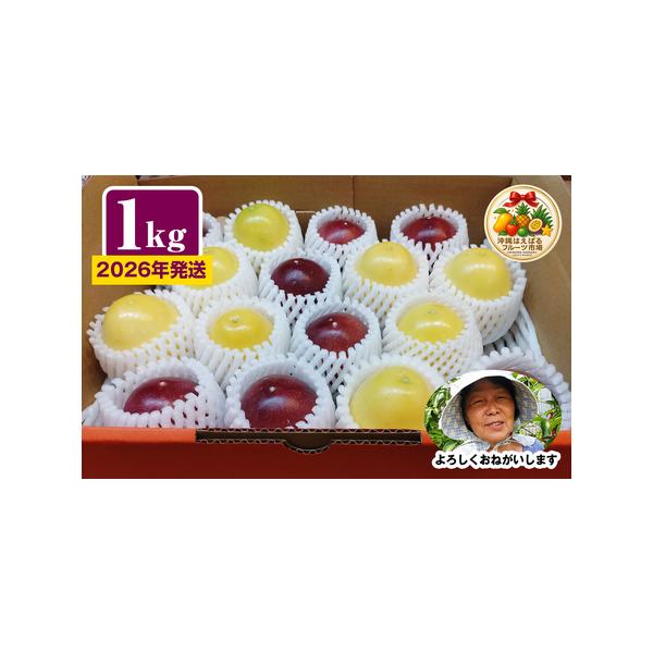 ■ 容量　1kg　※サイズ・個数の指定はできません。　　【消費期限】　青果物ですので早めにお召し上がり下さい。　■ 配送について　申込期日：2026年8月20日まで　　発送期日：2026年4月〜8月　※数量限定。収穫状況により発送が遅れる場...