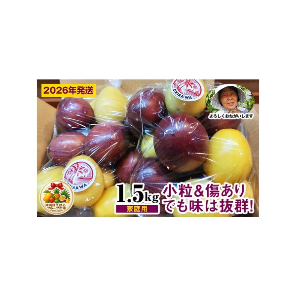 ■ 容量　1.5kg（750g×2袋）　※サイズ・個数の指定はできません。　　【消費期限】　青果物ですので早めにお召し上がり下さい。　■ 配送について　申込期日：2026年8月20日まで　　発送期日：2026年4月〜8月　※数量限定。収穫状...