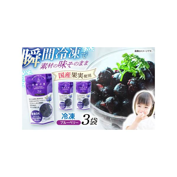 ■ 容量　ブルーベリー　100g×3袋　【加工地】　長崎県諌早市　■ 配送について　ご入金確認後、2週間以内に発送予定。　※大型連休・お盆・年末年始等は、通常より発送までに時間が掛かる場合がございます。　　ギフト・のしご希望の際は備考欄にご...