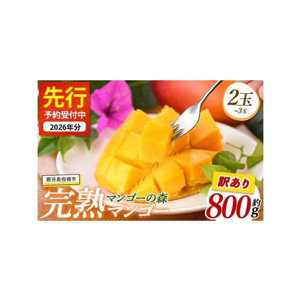 ■ 容量　訳ありマンゴー 約800g(2〜3玉)■ 配送について　■受付期間：2026年8月中旬頃まで受け付けております。　※生育状況により前後する場合がございます。　　■発送期間：2026年7月上旬頃〜順次発送いたします。　※生育状況によ...