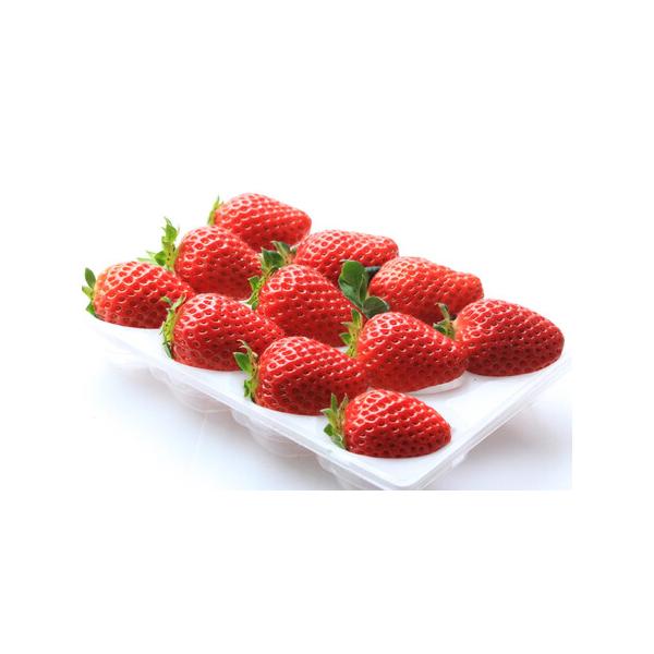 ■ 容量　1パック(11粒入り）×4パック　【賞味期限】　到着後、冷蔵保管にてなるべくお早めにお召し上がりください。■ 配送について　2026年3月中旬から4月中旬にお届け予定です。※北海道・沖縄・離島へは品質に問題が生じるため配送していま...