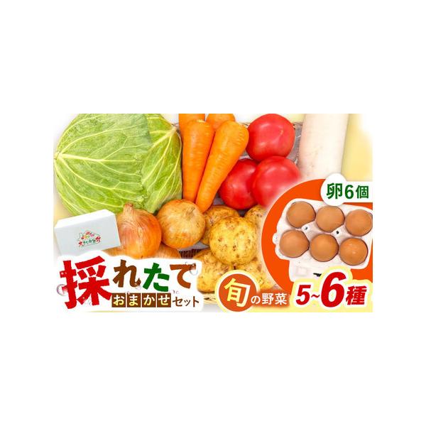 ■ 容量　旬の野菜（5?6種）＋こだまさんちの紅たまご6個入り 段ボール詰め　※サイズ・野菜の種類はご指定出来かねます。■ 配送について　ご入金確認後、1ヵ月以内に発送予定　※年末年始（12月・1月）は、ご入金確認後、2ヵ月以内に発送予定で...