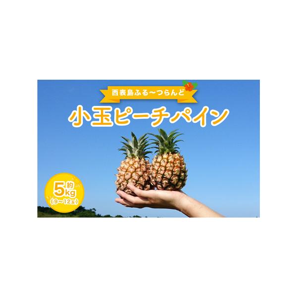 ■ 容量　小玉ピーチパイン約5kg（9〜12玉）　フルーツキャップ掛け　タイプ：【常温】