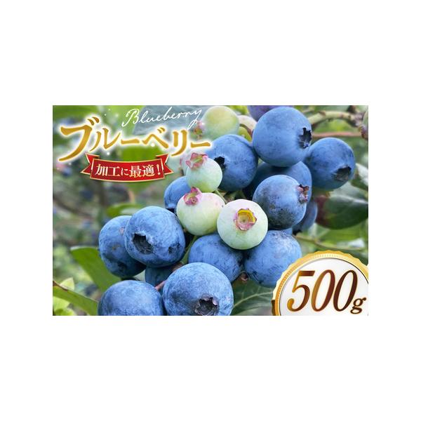■ 容量　■内容量　冷凍ブルーベリー500g　　■原料原産地　長崎県平戸市産　　■加工地　長崎県平戸市　　■賞味期限　ー１８℃以下で保存。お早めにお召し上がりください。■ 配送について　決済確認から1週間〜1か月程度　※申込が集中した場合は...