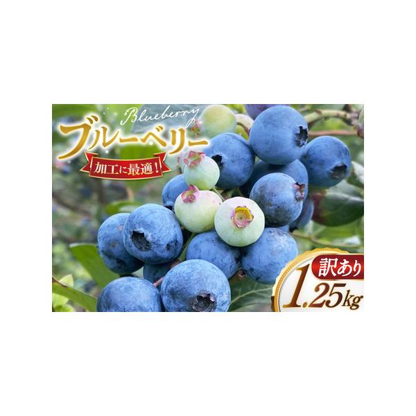 ■ 容量　■内容量　加工用冷凍ブルーベリー 1.25kg　　■原料原産地　長崎県平戸市産　　■加工地　長崎県平戸市　　■賞味期限　ー１８℃以下で保存。お早めにお召し上がりください。■ 配送について　決済確認から1週間〜1か月程度　※申込が集...