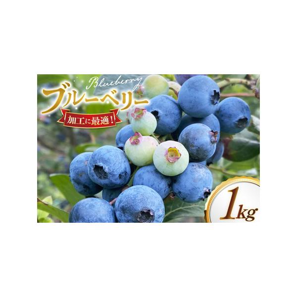 ■ 容量　■内容量　食用冷凍ブルーベリー 1.0kg　　■原料原産地　長崎県平戸市産　　■加工地　長崎県平戸市　　■賞味期限　ー１８℃以下で保存。お早めにお召し上がりください。■ 配送について　決済確認から1週間〜1か月程度　※申込が集中し...