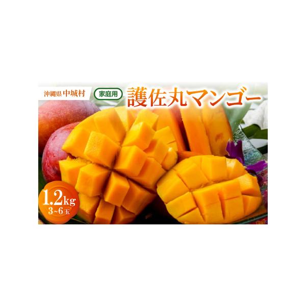 ■ 容量　※上記に記載■ 配送について　2026-06-20〜2026-07-31　タイプ：【冷蔵】