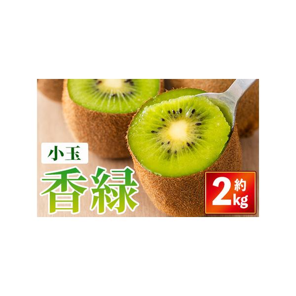 ■ 容量　約2kg(小玉)■ 配送について　2025年11月下旬以降順次発送予定　※発送までに時間がかかる場合がございます。　※生育状況により出荷が前後する場合がございます。　※配送日の指定は出来かねますので、ご了承くださいませ。　タイプ：...