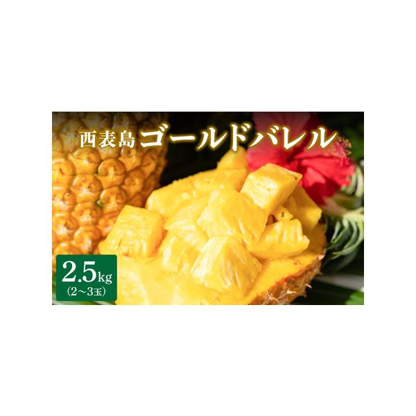 ■ 容量　ゴールドバレル　2.5kg(2〜3玉)　　賞味期限：冷蔵5日以内　保管方法：商品到着後は冷蔵庫で保管し、できるだけ早めにお召し上がりください。食べきれない分は冷凍保存し、スムージーや冷凍パインとしても美味しくお楽しみいただけます。...