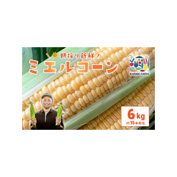■ 容量　とうもろこし（ミエルコーン）約6kg■ 配送について　2026年6月下旬頃〜7月中旬頃まで発送予定　※天候の影響で収穫時期が遅れる場合がございます。予めご了承ください。　※伊豆諸島（大島・八丈島を除く）及び小笠原村（小笠原諸島）へ...