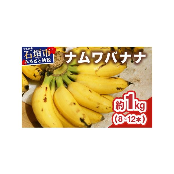 ■ 容量　約1kg、（8-12本）※本数は目安です　【アレルギー】バナナ■ 配送について　2026年4月〜10月順次発送予定　タイプ：【常温】