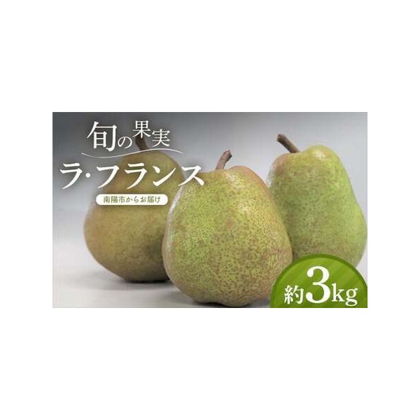 ■ 容量　等級：秀　容量：約3kg　サイズ：L玉〜3L玉（10玉〜12玉）　※申し訳ございませんがサイズおよび玉数は選べませんので予めご了承ください。　■ 配送について　令和7年11月上旬頃〜令和8年1月中旬頃にかけて順次発送予定　※生育状...