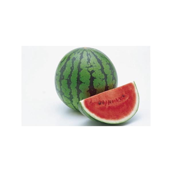 ■ 容量　熊本県産VSすいか 1玉（約6kg）■ 配送について　2026年5月下旬〜6月上旬まで発送　タイプ：【常温】