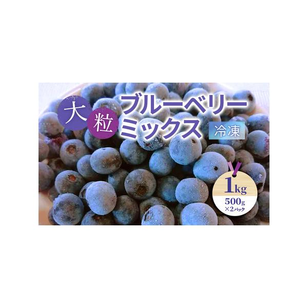 ■ 容量　ブルーベリー（冷凍）　内容量：500g×２パック　原材料：ブルーベリー　原産地：滋賀県米原市　事業者：ブルーベリーガーデン伊吹　　タイプ：【冷凍】