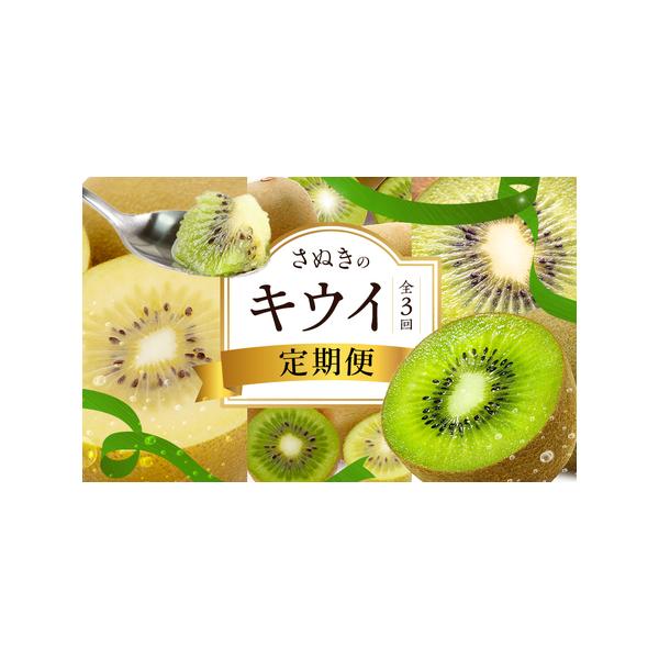 ■ 容量　10月発送【さぬきゴールドキウイ】約1.2kg（5〜10玉入り）　11月発送【さぬきキウイっこ 】約2kg（30〜70個入り）　12月発送【香緑キウイ】約1.2kg（8〜14玉入り）　■ 配送について　10月上旬〜12月下旬まで　...