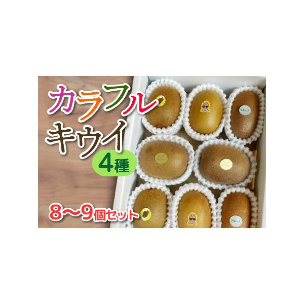 ■ 容量　・掛川産カラフルキウイ[8〜9個]　原産地:静岡県掛川市/製造地:静岡県掛川市　賞味期限:出荷日＋冷蔵で7日■ 配送について　配送不可地域：北海道、沖縄（離島を含む）　タイプ：【冷蔵】