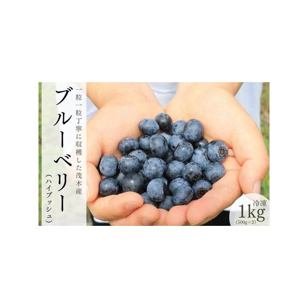 ■ 容量　■お礼品の内容　冷凍ブルーベリー（ハイブッシュ）１kg(500ｇ×2)　　　■賞味期限　製造日より1年間■ 配送について　入金確認後、2週間程度で発送いたします。　※離島はお届けできません。　　【注意事項】　・このお礼の品はヤマト...