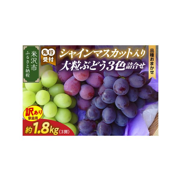 ■ 容量　1.8kg以上（3房）　※シャインマスカット以外の黒・赤は下記品種よりセレクト　ピオーネ・サニードルチェ・紫玉・オリエンタルスター・ウインク・コトピー・マイハート・高妻・スカーレット・土佐太郎・クイーンニーナ・ゴルビー・シナノスマ...