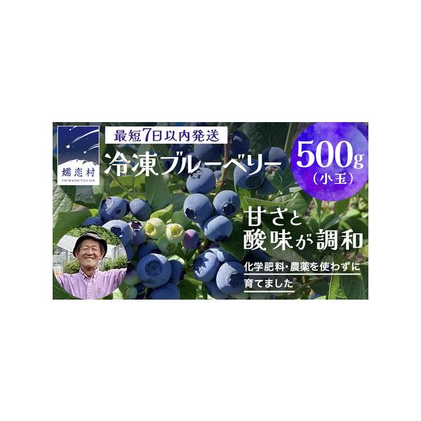 ■ 容量　冷凍ブルーベリー 小玉 500g■ 配送について　ご入金確認後7日〜2週間程度で発送開始　※天候や生育状況により、変動する場合があります　※クール便対象 配送できない地域がございます※　・伊豆諸島：青ヶ島村（青ヶ島）・利島村（利島...