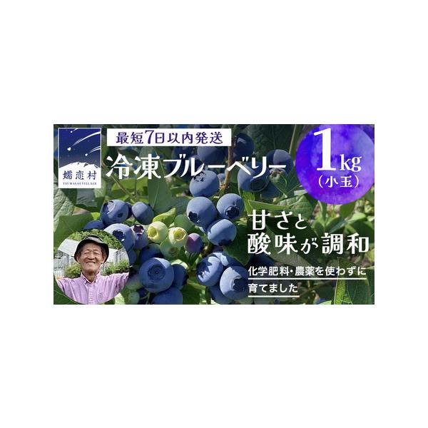 ■ 容量　冷凍ブルーベリー 小玉 1kg■ 配送について　ご入金確認後7日〜2週間程度で発送開始　※天候や生育状況により、変動する場合があります　※クール便対象 配送できない地域がございます※　・伊豆諸島：青ヶ島村（青ヶ島）・利島村（利島）...