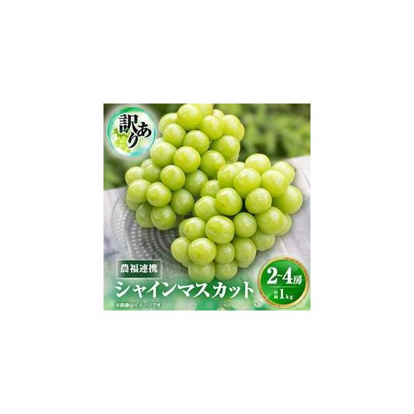 ■ 容量　※上記に記載■ 配送について　2026-08-25〜2026-10-15　タイプ：【冷蔵】