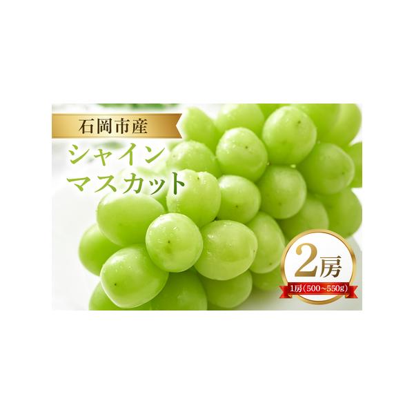 ■ 容量　【2026年先行予約】石岡市産シャインマスカット　　2房（1房　500〜550g）■ 配送について　2026年9月中旬から順次発送いたします　タイプ：【冷蔵】