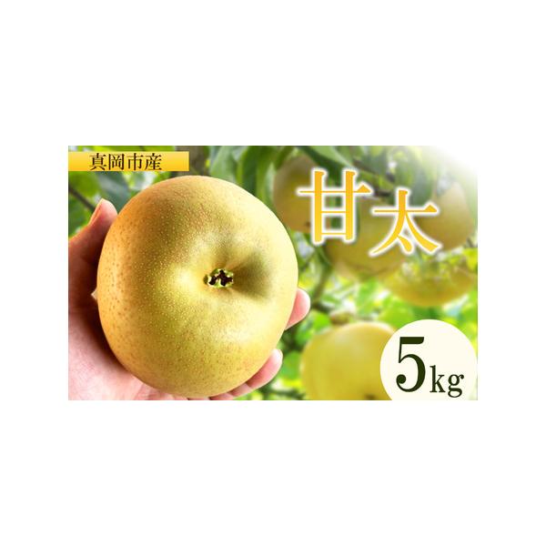 ■ 容量　約5kg■ 配送について　※沖縄・北海道・離島の発送不可　※配達日のご指定は承れません。　※発送日・到着予定日等のご案内はしておりません。　※長期不在のご予定があれば事務局へご連絡ください。　尚、長期不在等によりお礼の品をお受取り...