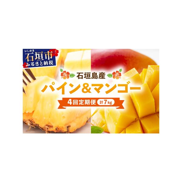 ■ 容量　石垣島産パイナップル約2kg×3回・マンゴー約1kg×1回セット　≪5月発送分≫ 石垣島産パイナップル約2kg　≪6月発送分≫ 石垣島産パイナップル約2kg　≪7月発送分≫ 石垣島産パイナップル約2kg　≪8月発送分≫ 石垣島産マ...