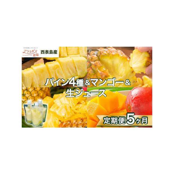 ■ 容量　1回目：ピーチパイン2kg　2回目：スナックパイン2kg　3回目：ハワイ種2kg　4回目：ゴールドバレル1.5kg＆マンゴー900g　5回目：冷凍パインピューレ200ml(3種)×3本セット　タイプ：【常温】【冷蔵】【冷凍】【定期】