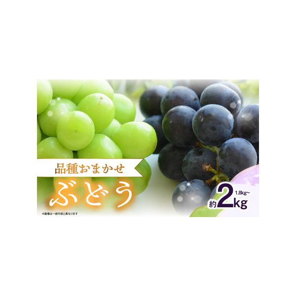 ■ 容量　シャインマスカットか巨峰（1.8〜2kg）■ 配送について　2026年8月下旬〜10月上旬頃発送予定　タイプ：【冷蔵】
