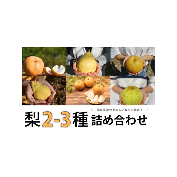 ■ 容量　【容量】　岡山県真庭市産　梨2-3種 5-7玉入　　【賞味期限】　??和梨：到着次第、お早めにお召し上がりください。　??洋梨：洋梨は、同封の食べごろチラシを目安に、お召し上がりください。■ 配送について　9〜12月　※発送時期は...