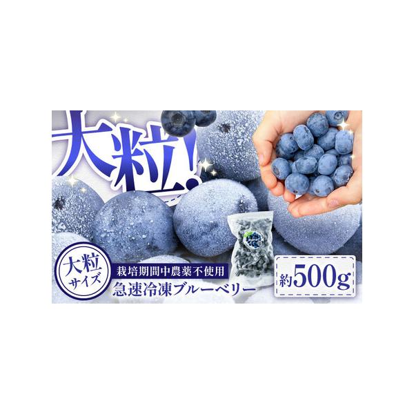 ■ 容量　冷凍ブルーベリー約500g　【加工地】　熊本県菊池郡　■ 配送について　ご入金確認後、2週間以内に発送いたします。　年末年始（12月・1月）は、ご入金確認後、1ヶ月以内に発送いたします。　※天候や発送状況により多少前後する場合がご...