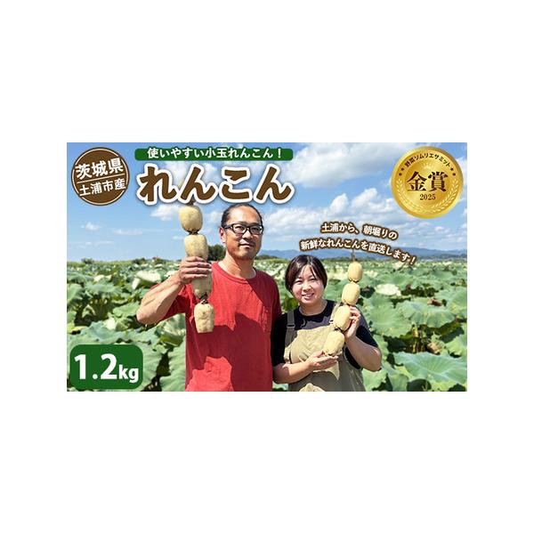 ■ 容量　れんこん 1.2kg■ 配送について　2026年1月上旬頃より順次発送　タイプ：【冷蔵】