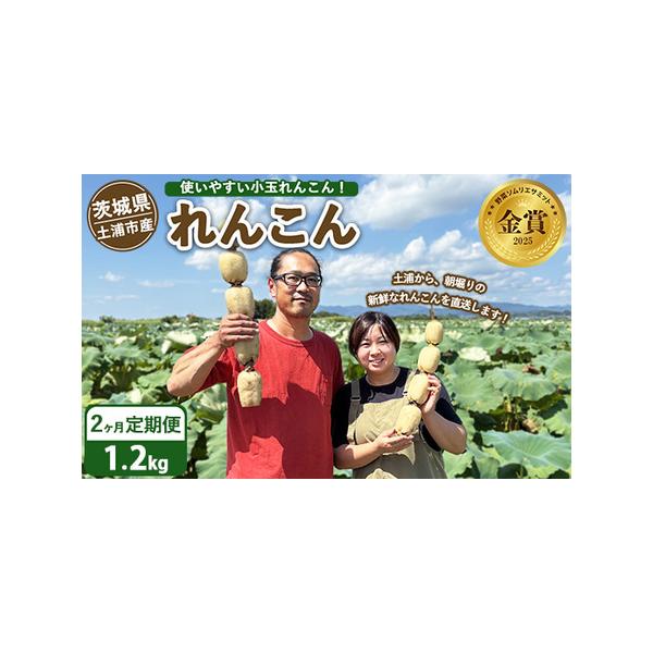 ■ 容量　れんこん 2.4kg（1.2kg×2ヶ月分）■ 配送について　2026年1月上旬頃より順次発送　タイプ：【冷蔵】【定期】