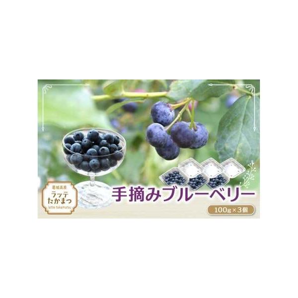 ■ 容量　【容量】　100g×3個　　【賞味期限】　お受取り後は冷蔵庫で保管し、お早めにお召しあがりください。■ 配送について　発送期間⇒2026年7月中旬頃〜8月中旬頃まで　 　※受取日の指定は対応出来かねます。　※複数お選びいただいた場...
