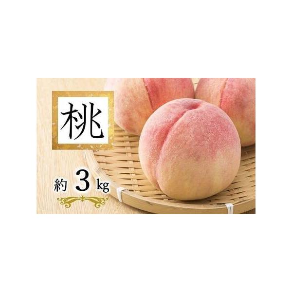 ■ 容量　白桃「あかつき、まどか、川中島、おどろき」から旬のもの　等級：秀　容量：約3kg（9玉以上）　※1玉の重さにより入り数が異なります。玉数は選べませんのでご了承ください。　■ 配送について　令和8年8月〜9月上旬頃にかけて順次発送予...