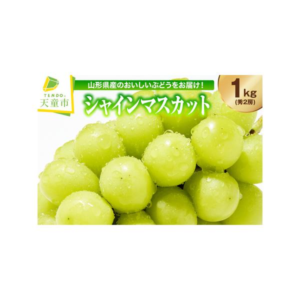 ■ 容量　【内容量】　2房(秀・500g以上×2)　　【消費・賞味期限】　1週間程度■ 配送について　【発送期日】　2026年9月下旬〜10月下旬　　【配達】　ヤマト運輸または佐川急便　　【のし対応可】　ご希望の場合は備考欄にご記入ください...