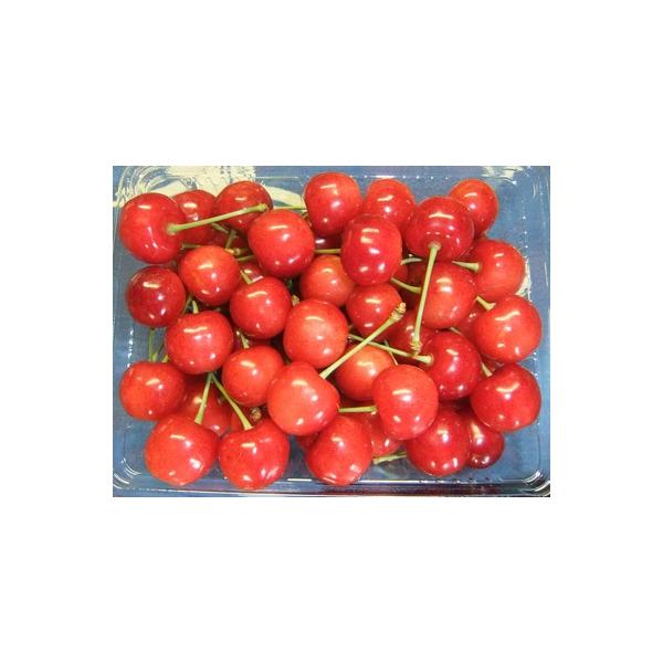 ■ 容量　佐藤錦　５００ｇ　ＭＬサイズ混合　ご家庭用　※小さい粒が入る場合がございます。　※サイズの指定はできません。　※天候により出荷時期や規格（数、サイズ、品種等）を変更する場合がございます。■ 配送について　２０２６年６月中旬〜６月下...