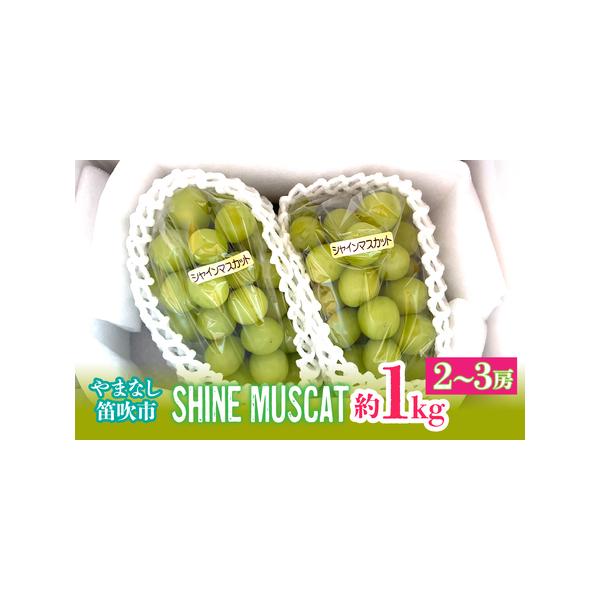 ■ 容量　約1kg（2-3房入）■ 配送について　※沖縄離島への配送不可　タイプ：【冷蔵】