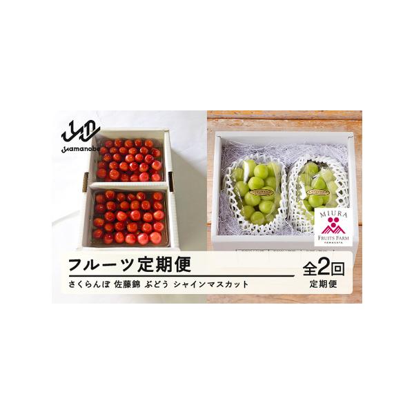 ■ 容量　【定期便1回目：6月】　さくらんぼ 佐藤錦 秀 700g　　【定期便2回目：9月中旬から10月下旬】　シャインマスカット 2房セット（約1.1kg）■ 配送について　さくらんぼ：冷蔵　シャインマスカット：常温　タイプ：【常温】【冷蔵】